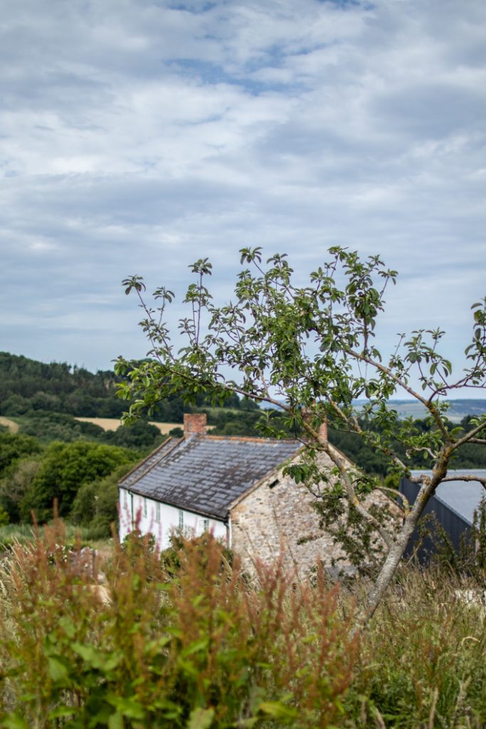 Ein Tag im River Cottage mit zwei Meistern der Fermentation (Sandor ...