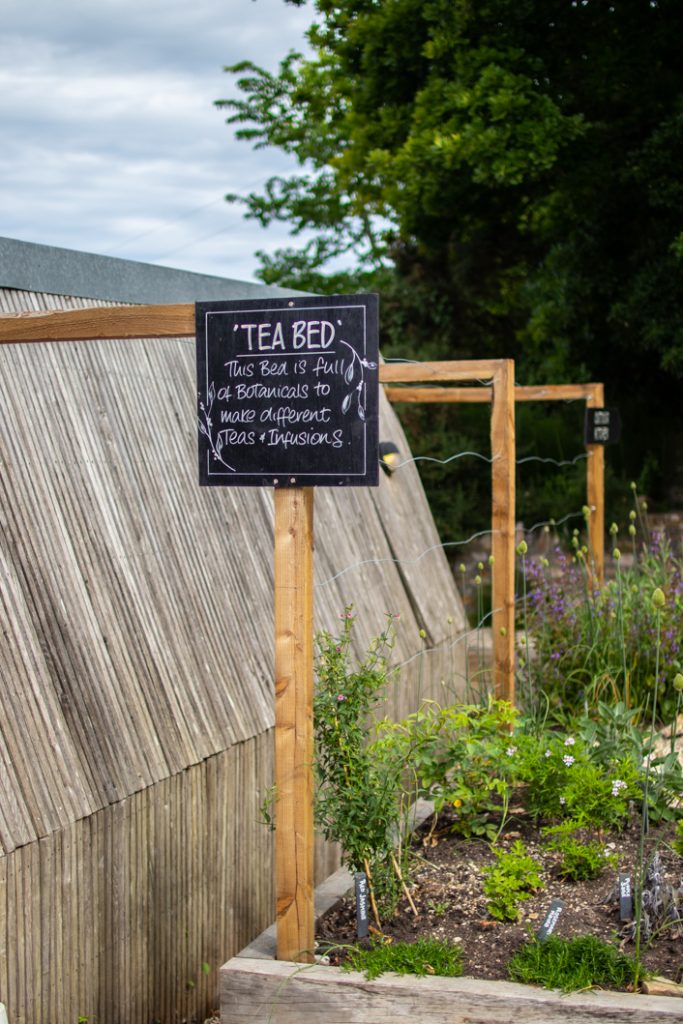 Ein Tag im River Cottage mit zwei Meistern der Fermentation (Sandor ...