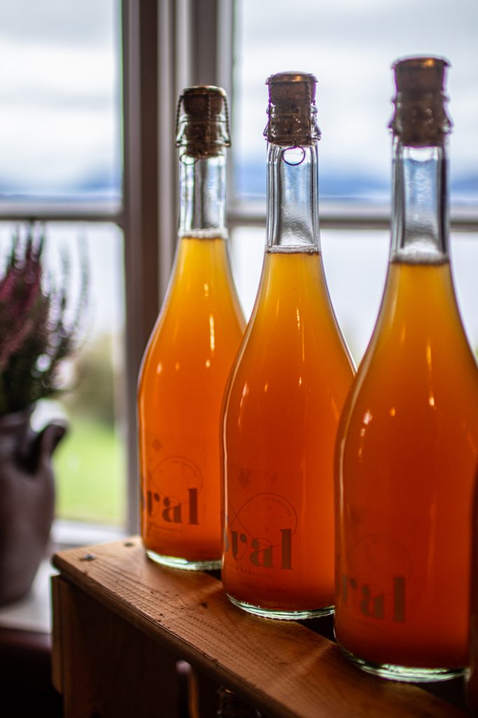 September in Norwegen: Die Cider-Saison am Fjord erleben - Dinner um Acht